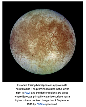 europa surface gravity